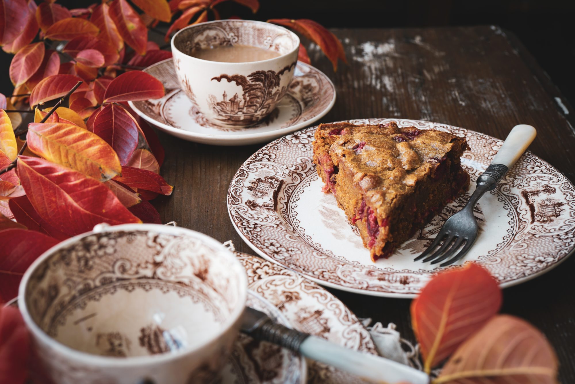 Cranberry Cake - My Love of Tea